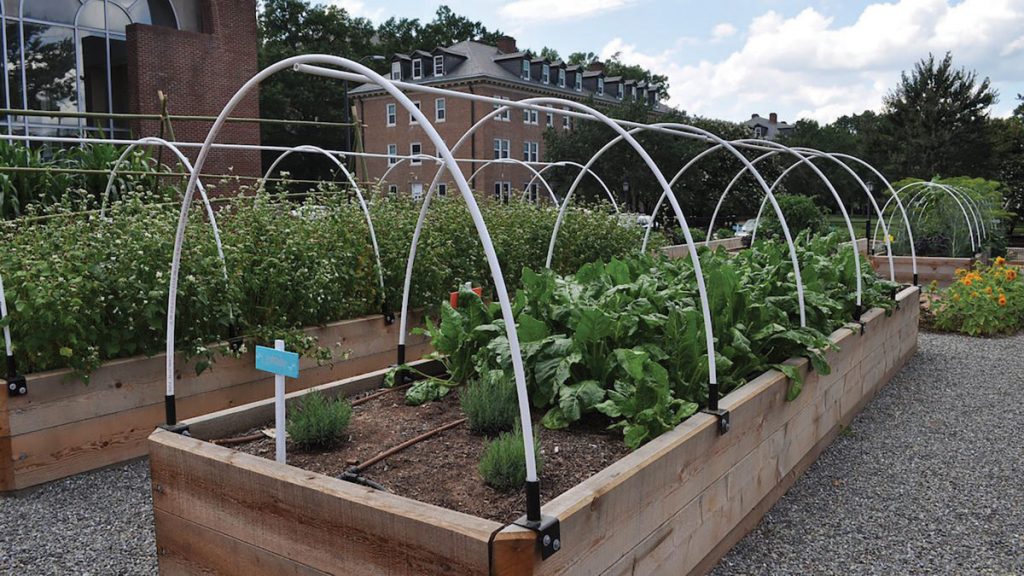 Edible Campus - University of North Carolina at Chapel Hill | the ...