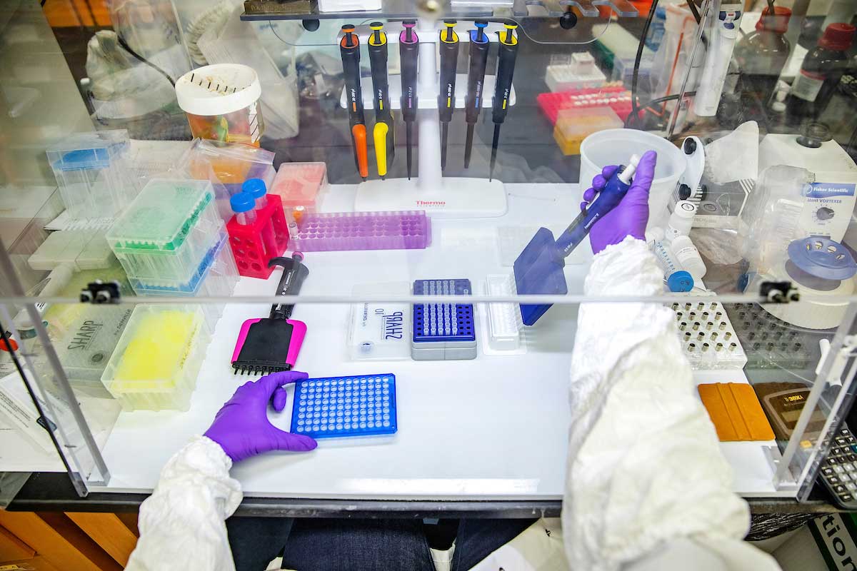 70-Year Story Of HIV Research at Carolina - University of North ...