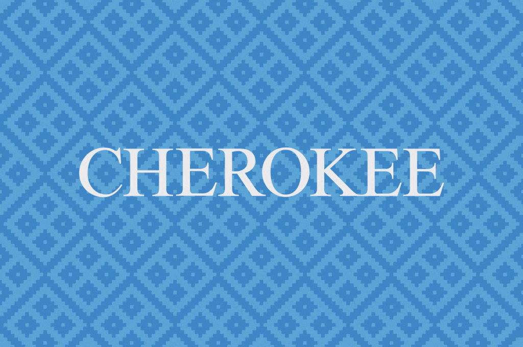 Preserving and Promoting Cherokee - University of North Carolina at ...